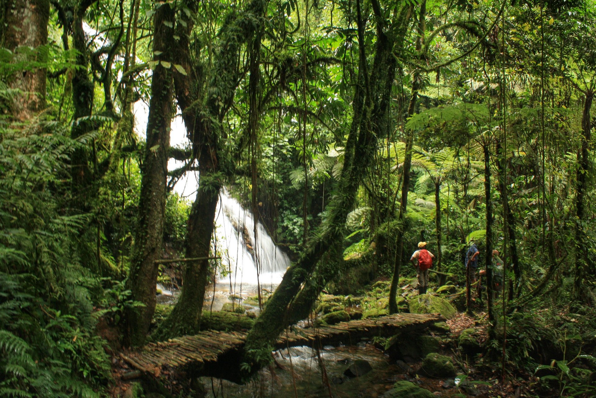 Trekkingreise: Wanderabenteuer in Uganda & Ruanda