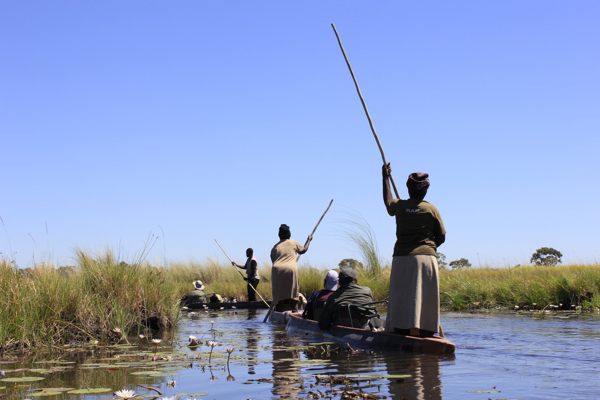 Safari-Höhepunkte in Botswana | Nature Tours - Natur Kultur Trekking